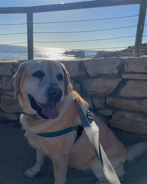 Libby Libbylab • Instagram Photos And Videos