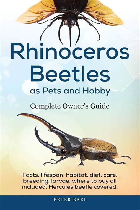 Rhino Beetle Facts