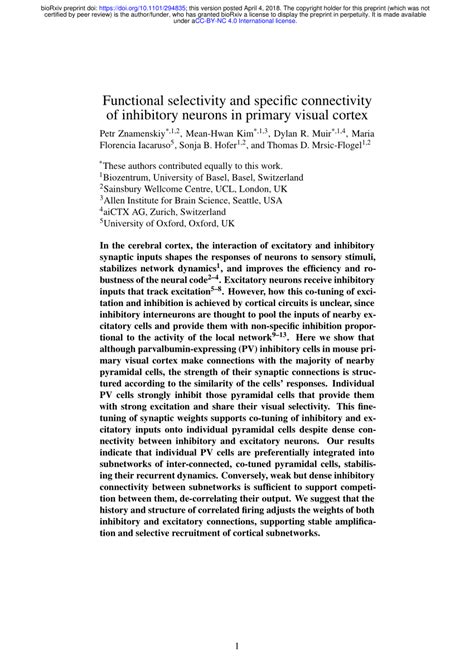 Pdf Functional Selectivity And Specific Connectivity Of Inhibitory Neurons In Primary Visual