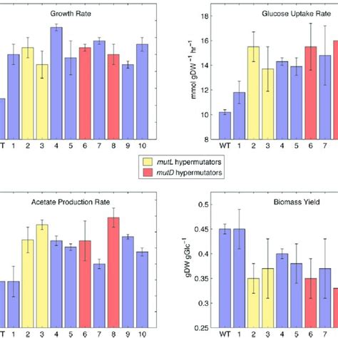 Physiology Of The Temperature Evolved Strains Strain Numbers Are