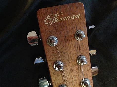 무료 이미지 뽑아 낸 현악기 어쿠스틱 기타 전자 기타 우쿨렐레 베이스 기타 2774x2079 204376 무료 이미지 Pxhere