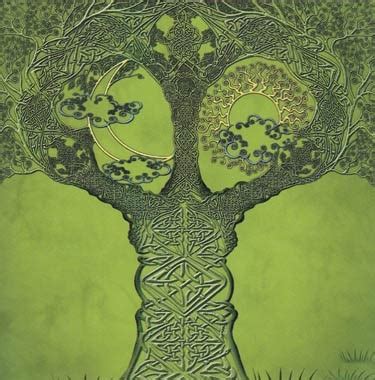 Celtic Tree Of Life Celtic Druids Celtic Tree Of Life Celtic Tree