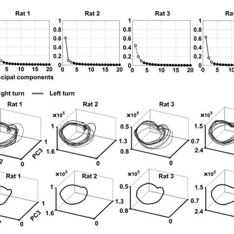 Diagram Of Rat Working Memory Task On A Y Maze The Y Maze Apparatus Download Scientific