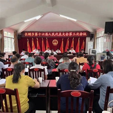长垌乡第十六届人民代表大会第三次会议顺利召开发展习近平全乡