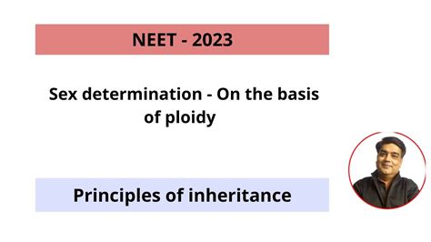 Sex Determination Mechanism On The Basis Of Ploidy Honey Bee Wasps And Ants In Above