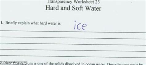 Teachers Reveal Funniest Exam Answers Ever Freeones Forum The Free Munity