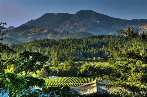 Pinterest Napa Valley Wine Country Visit Napa Valley