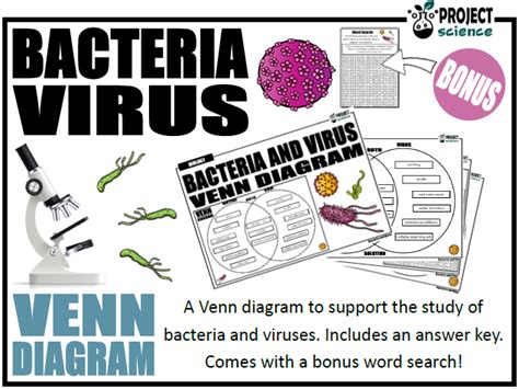Bacteria And Virus Venn Diagram Teaching Resources
