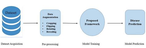 Disease Detection Pipeline Download Scientific Diagram