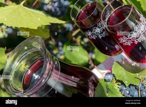 Goodinfo Red Wine Glass Jug