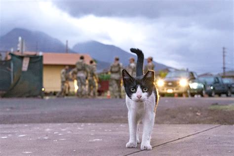 Code 3 Associates Added A New Photo Code 3 Associates