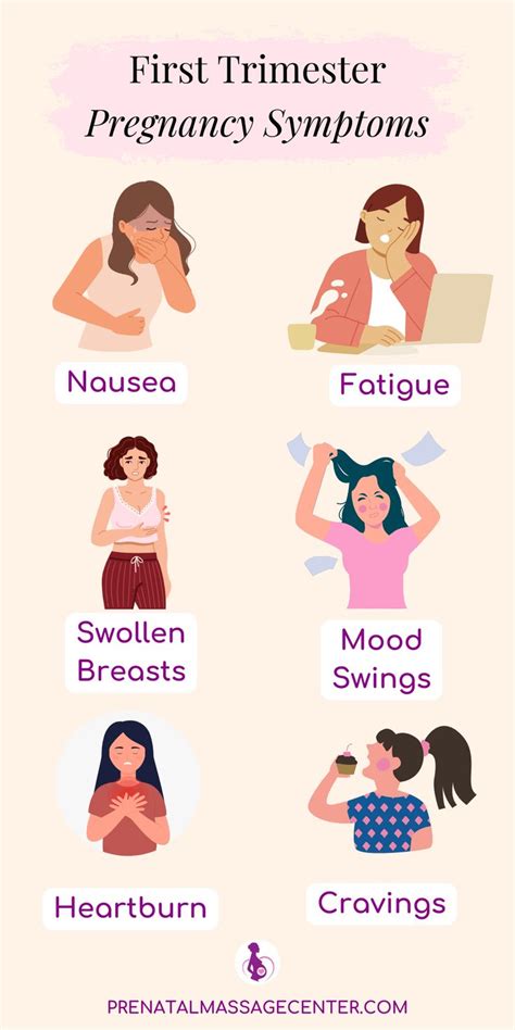 First Trimester Pregnancy Symptoms Pregnancy Symptoms Nausea