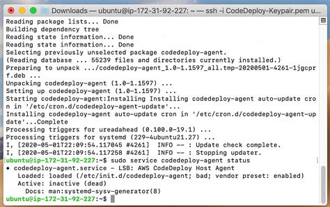 Continuous Deployment Pipeline With Bitbucket Pipelines To Aws Ec2 Using Aws Code Deploy By