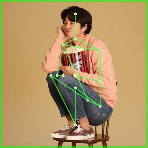 Github Tucan9389poseestimation Tfliteswift The Baseline Project For