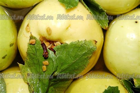 Как приготовить моченые яблоки 9 фото в рецепте