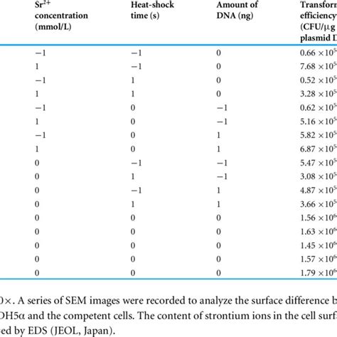 The Transformation Efficiency Of E Coli Strain Treated By Different