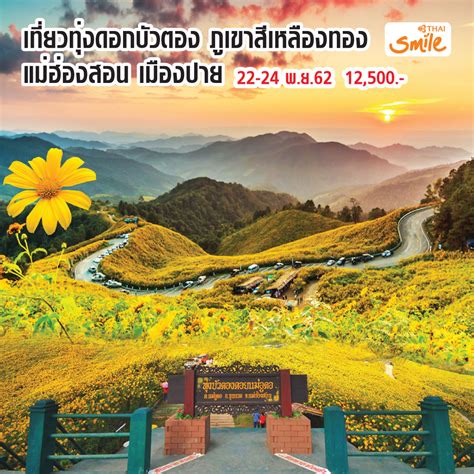 ทุ่งดอกบัวตอง ที่บานสะพรั่งทั่วทั้งหุบเขาบนดอยแม่อูคอ ภูเขาสีเหลืองทองที่เกิดขึ้นเพียงปีละ1ครั้ง