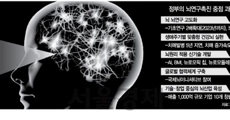 사이언스 뇌와 연결 시각의 비밀 풀 단서 찾았다