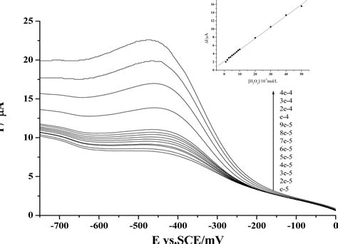 Ijms Free Full Text Photodynamic Effect Of Hypericin On The