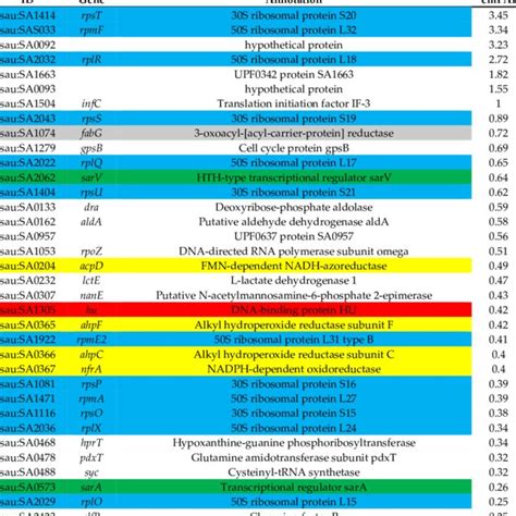 Nucleoid Structure And Dynamics In Bacteria A A Model Of The Download Scientific Diagram