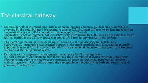 The Complement System The Classical Pathway Of Complement Activation