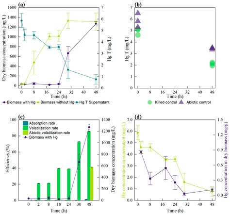 Mercury Resistant Bacteria Isolated From An Estuarine Ecosystem With Detoxification Potential