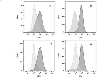 Cd71 Is Highly Expressed In Cancer Cells Flow Cytometry Analysis Of Download Scientific