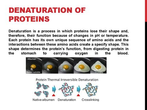 Protein Denatu Ration Online Presentation
