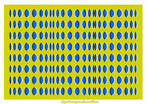 Top 10 Moving Objects Optical Illusions