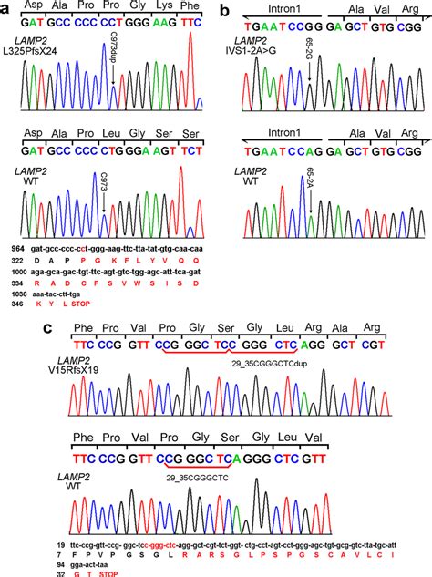 Chromatogram Sanger Sequencing At Joseph Park Blog