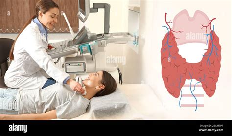 Woman Undergoing Ultrasound Scan Of Thyroid Gland In Clinic Stock Photo Alamy