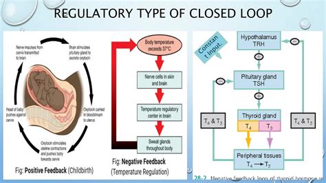 Servosystem Theory Cybernetic Theory By Petrovic PPTX
