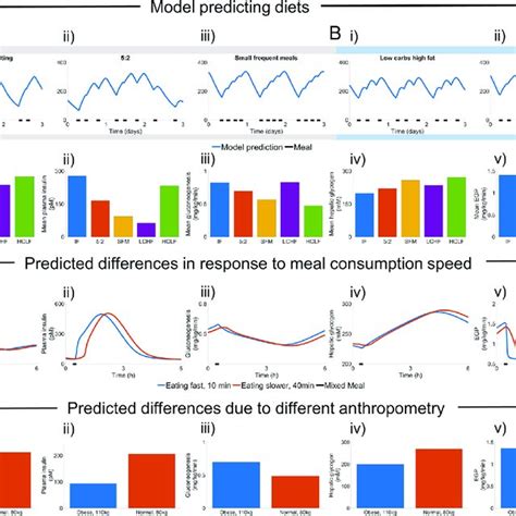 Simulations Of Five Common Diet Schemes And Varying Different Download Scientific Diagram