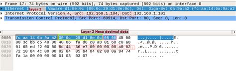 Network Packet Forensic Using Wireshark