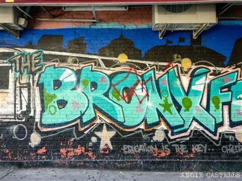 Visitar El Bronx Por Libre 10 Planes Para Todos Los Gustos