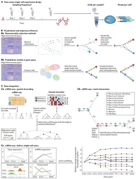 nid210 temporal modelling using single cell transcriptomics 知乎