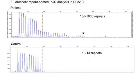 Fluorescent Triplet Repeat Primed Pcr Tp Pcr Analysis Of The Atxn10