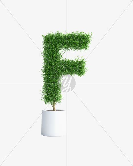 Tree F From Green Tree Alphabet Letter On Yellow Images Creative Fonts S