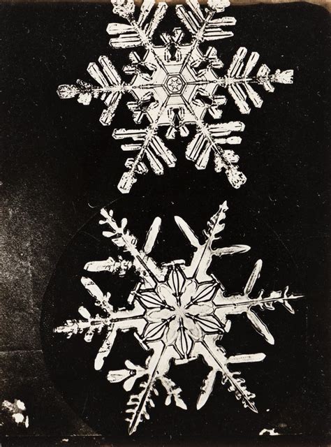 Snowflake Sketches Bentley