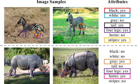 Vision Transformer Based Feature Extraction For Generalized Zero Shot Learning Paper And Code