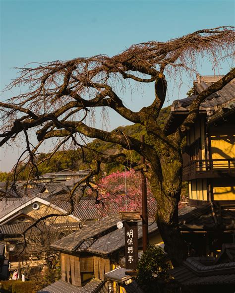 강 거리 장면 건너는 건축 게이샤 관광 광고 교토 교통 군중 나리타 네온 네온 사인 도시 생활 도시 풍경 도시의 도시의 삶 도심 도쿄