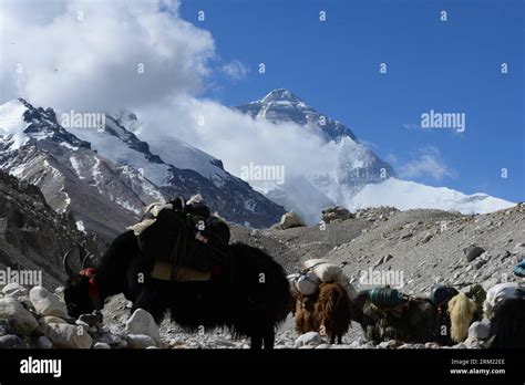 Bildnummer 59672803 Datum 21 05 2013 Copyright Imago Xinhua 130521 Mount Qomolangma May