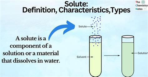 What Are The 10 Example Of Solute And Solvent At Ali Winston Blog