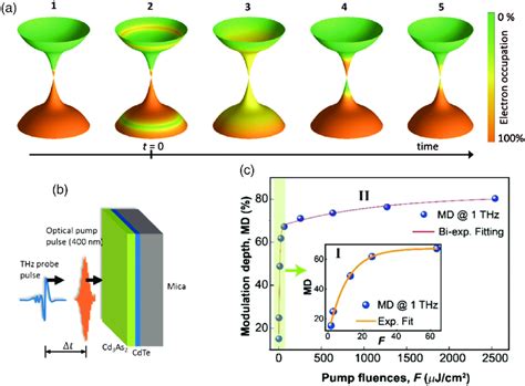 Ultrafast Photocarrier Dynamics In 3d Dsm Cd 3 As 2 A Schematic Download Scientific