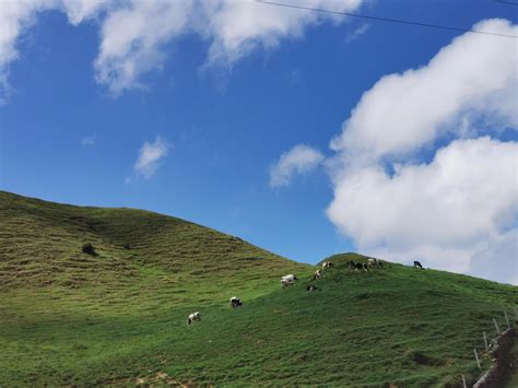 2025南山风景名胜区游玩攻略 南山牧场是国家重点风景名胜 去哪儿攻略