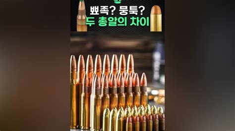 총알 모양에 숨겨진 비밀 네이버 Tv