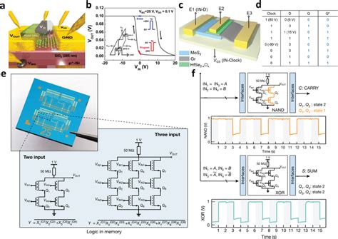 Logicinmemory Applications In D Materials A Schematic Illustration Download Scientific