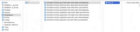 Error In Dpabisurf When Running Fmriprep The R Fmri Network