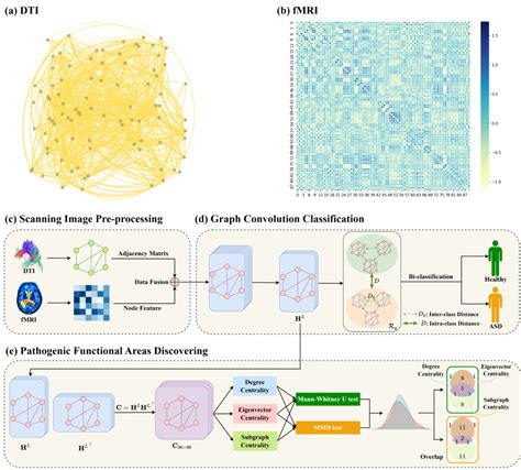 [논문 리뷰] Diagnosis And Pathogenic Analysis Of Autism Spectrum Disorder Using Fused Brain