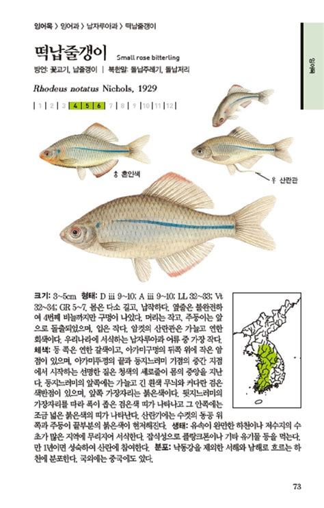 알라딘 미리보기 한국의 민물고기